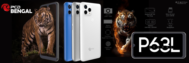 SobrePCD | PCD America